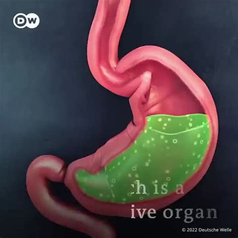 Swarnodip Nag Posted On Linkedin