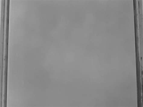 Larvae Shrimp Counting Object Detection Model By The Nho