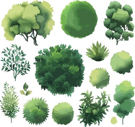 Premium Vector Awesome Trees Bushes Shrubs Seasesonal Vector Art