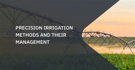 Precision Irrigation Technology And Methods Of Its Management