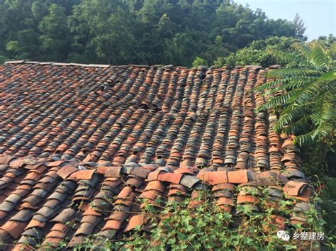 房子塌了没地方住，5万块建新房，一波三则花了三年终于建好！