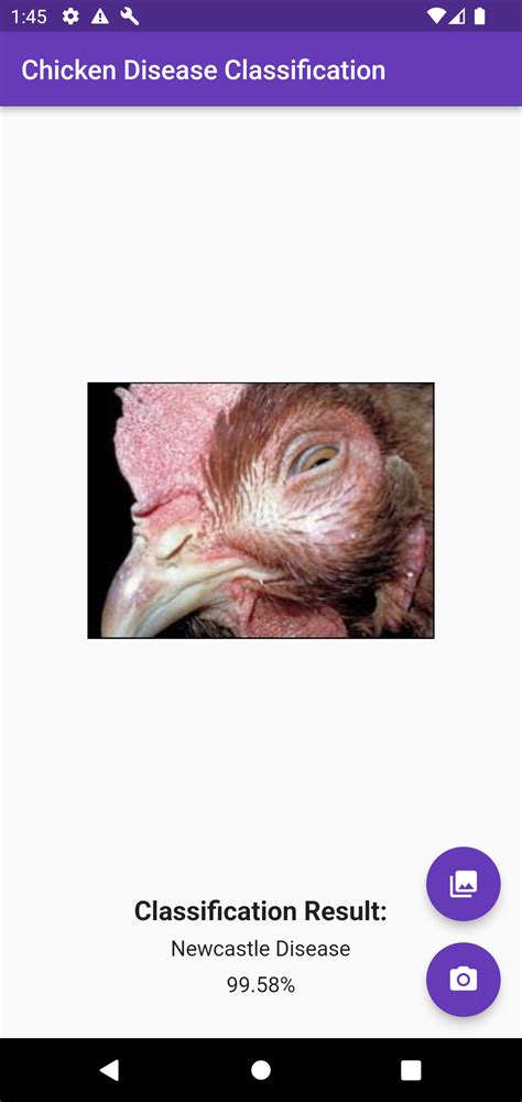 github darwincamahalan chicken diesease image classification a