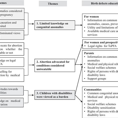 Conceptual Framework To Inform Target Audience And Contents Of Birth