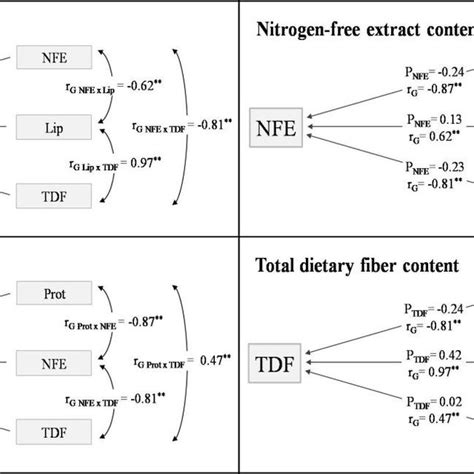 Illustrative Diagram Showing The Correlations Between Explanatory