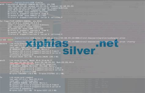 [cve 2017 9791] apache struts2 rce exploit xiphiasil ver 2 1