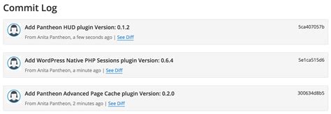Install Plugins Using Git With SFTP WordPress Pantheon Docs