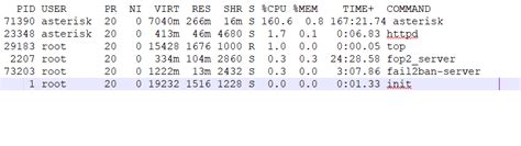 Asterisk Utilizing Whole Processor General Help Freepbx Community