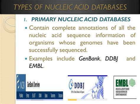 Bioinformatics Principles And Applications Pdf