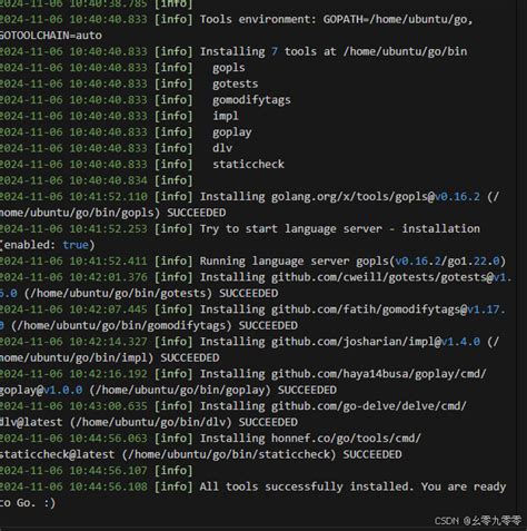 【golang】解决golang代码不报错问题failed To Find A Go Command Go1210 Or Newer