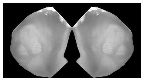 Data Files — Ccfstreamlines 114 Documentation