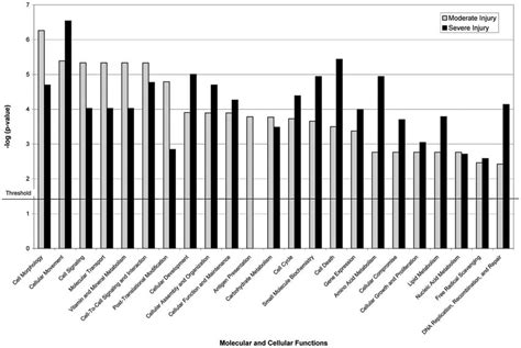 Results Of LC MS MS Data Analysis Using Core Module Of The Ingenuity Download Scientific