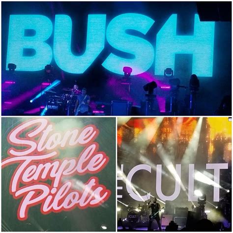 Rock N Roll Nurse RNR RN Twitter