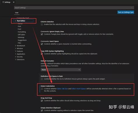 vs code设置 tab 缩进为4个空格 知乎