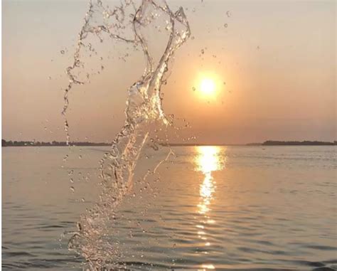 Un Bosque De Microestructuras Impreso En 3d Facilita La Desalinización