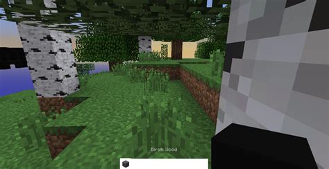 Minecraft Texture Bug Minecraft