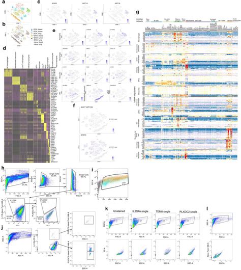 Analysis Of Scrna Seq Data And Gating Strategy For Il11ra⁺ Cells A C E