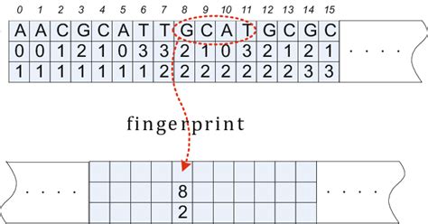 An Example Illustrating The Basic Data Structure As Used By The Download Scientific Diagram