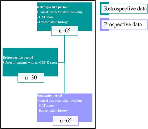 The Copd Assessment Test Cat And Depression Copd