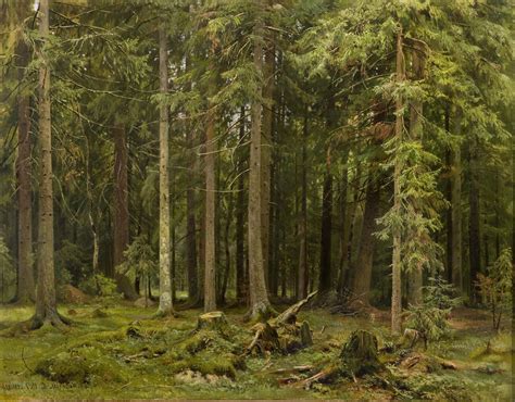 ქართველები ბრაზილიაში საქმიანი ჩატი Facebook