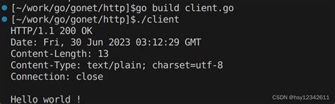 Go语言net模块tcp和udp编程实践go Net Csdn博客