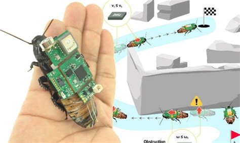 A Cockroach With Ai Enabled Search And Rescue Equipment Uniteai