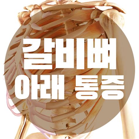 왼쪽 갈비뼈 아래 통증 근육통 신경통 담결림 증상과 해결방법 네이버 블로그