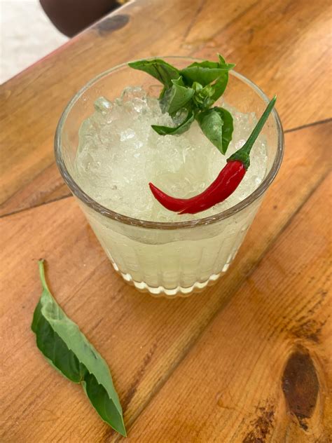 Dasun Thisara On Linkedin Spicy Basil Cooler 😋😋😋🌶️🌶️from My Garden
