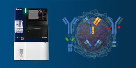 Bruker Cellular Analysis On Linkedin Antibodydiscovery