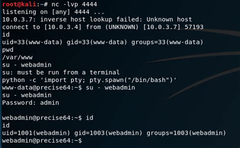 将简单的shell升级为完全交互式的tty Csdn博客