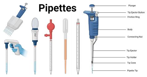 Pipette Principle Parts Types Procedure Uses Examples