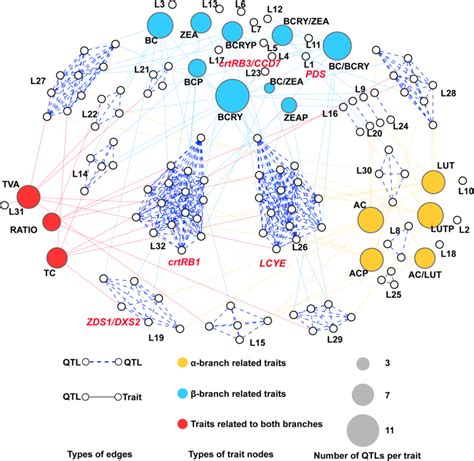 Traitlocus Network Of 17 Traits And 185 Single Qtls The Traitlocus