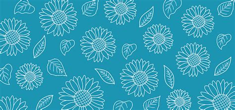 귀여운 해바라기 색칠 페이지 개요 스케치 드로잉 벡터 해바라기 간단한 그림 해바라기 간단한 개요 해바라기 간단한 스케치 Png 일러스트 및 벡터 에 대한 무료