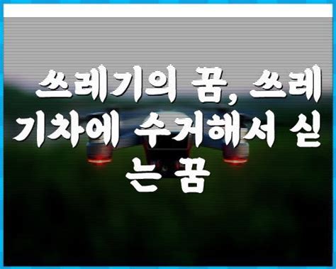 쓰레기의 꿈 쓰레기차에 수거해서 싣는 꿈