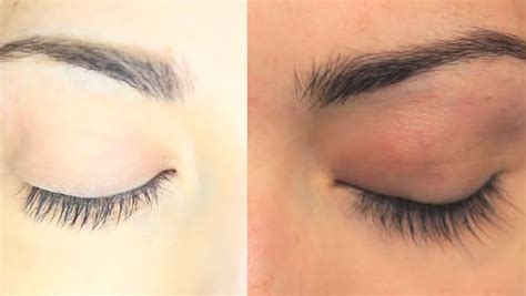 How To Use Castor Oil For Eyelashes Growth 5 Best Diy Methods