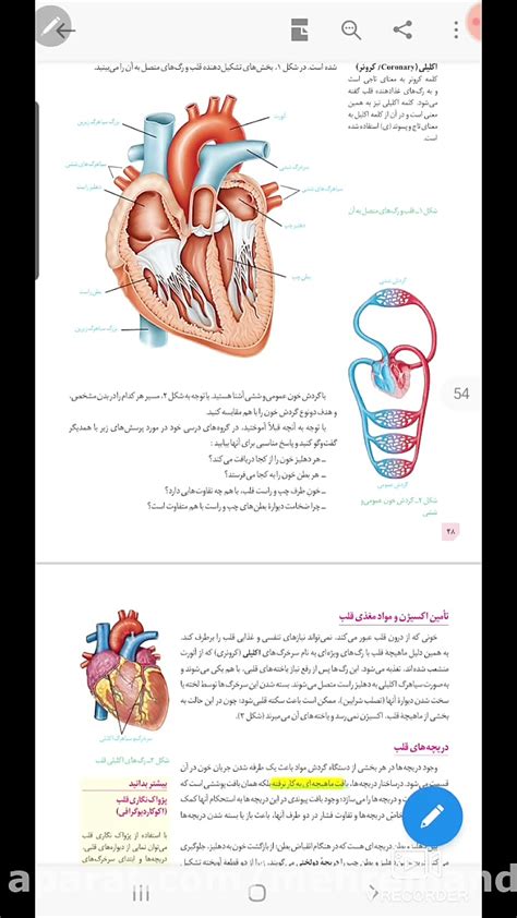 زیست دهم ادامه مبحث قلب