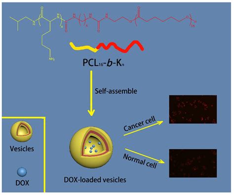 Polycaprolactone Based Mimetic Antimicrobial Peptide Copolymers Vesicles As An Effective Drug