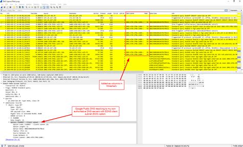 DNS Capture UDP TCP IP Fragmentation EDNS ECS Cookie Weberblog Net