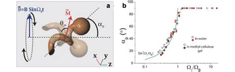 A Schematic Representation Of A Helical Nanoscale Probe With Permanent