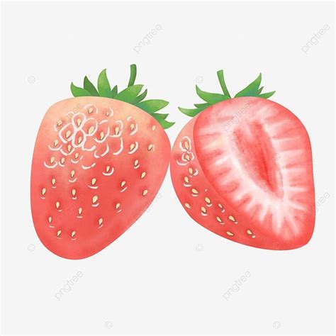 신선한 빨간 딸기 일러스트 신선한 빨간 과일 Png 일러스트 및 Psd 이미지 무료 다운로드 Pngtree