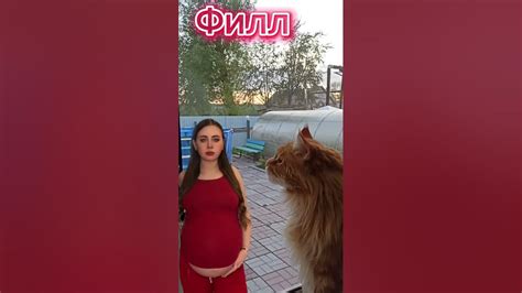 Соседка зашла Youtube