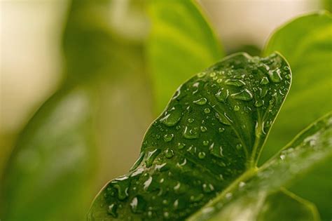 90000 Free Environment Texture And Texture Images Pixabay