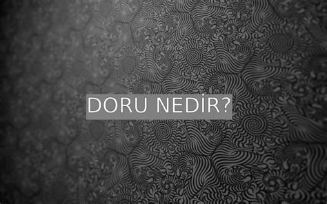 Doru Nedir Ne Demek Zıt Anlamı Eş Anlamı