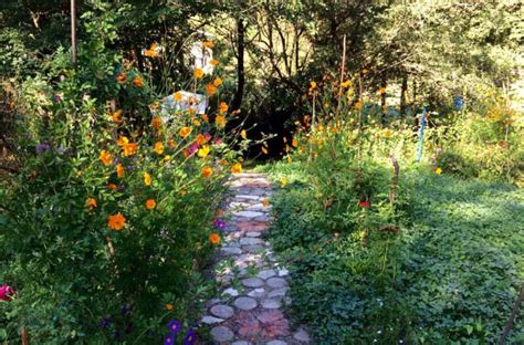 კოტეჯები რაჭაში ექსკლუზიური ვარიანტები Kotejebi Ge