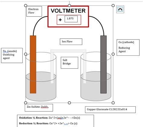 Answered Label The Diagram Of The… Bartleby