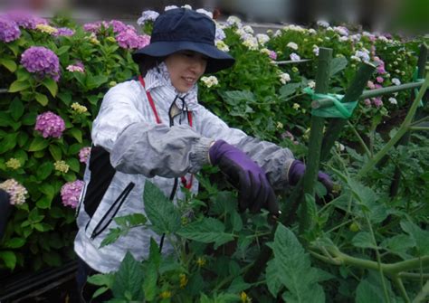 Amazon新着ランキング家庭菜園カテゴリ1位を獲得！コミックエッセイ『野菜づくり、はじめます！』を2023年3月2日木に発売｜荻野千佳