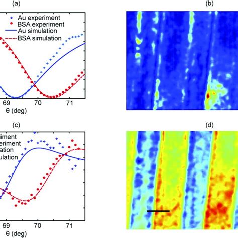 Gradient Mapping A Spr Curves For Bare Gold And Bsa Regions B