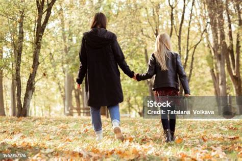 젊은 여성 어머니와 십대 소녀가 가을에 숲 공원의 나무 사이를 걷고 손을 잡고 있는 가족의 뒷모습 10월에 대한 스톡 사진 및