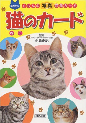 猫のカードmi te ミーテ