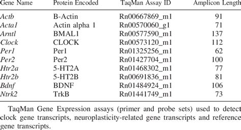 Taqman Oligonucleotide Primers And Probe Sets Used For Pcr Download Scientific Diagram