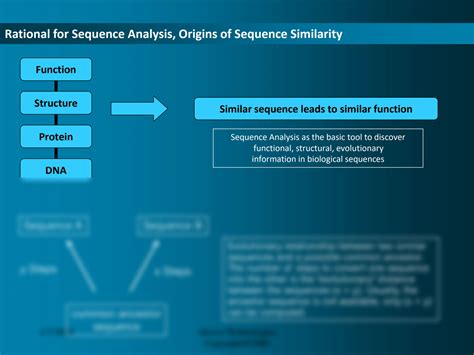 SOLUTION Sequence Analysis Alignment Studypool